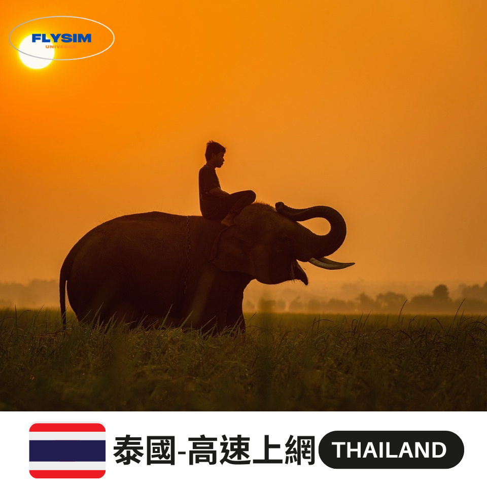 【總量型】泰國eSIM高速上網 | FLYSIM 飛宇