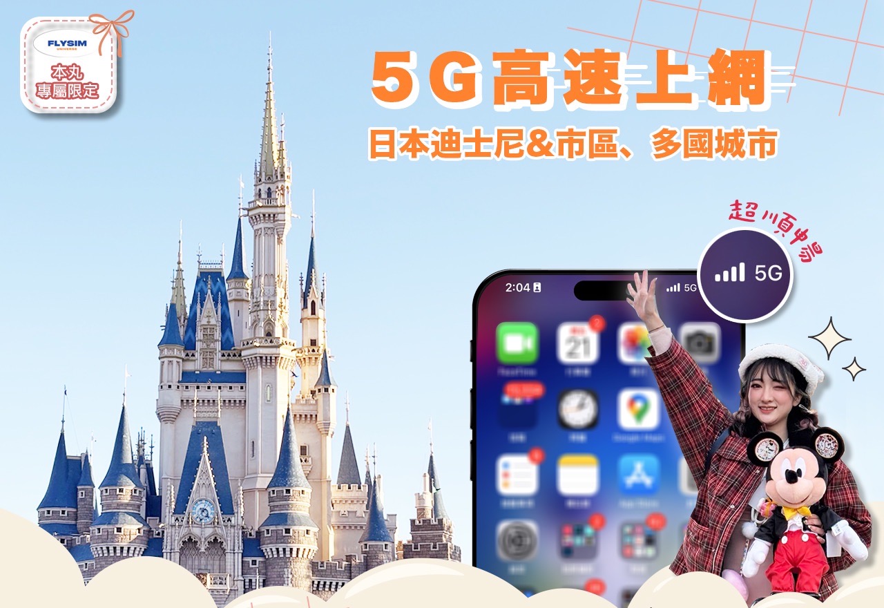 本丸的迪士尼世界 | FLYSIM 飛宇